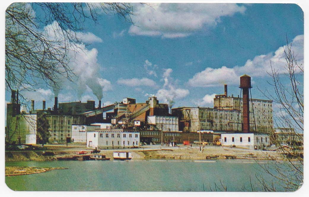 Working Together – Paper 360