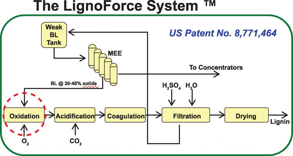 Creating a Lignin Culture – Paper 360