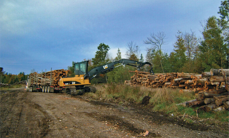 Woodland Pulp: Local Leadership, Global Competitiveness – Paper 360